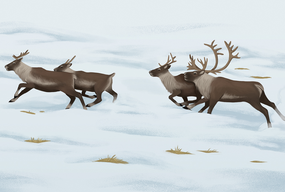 When Pumpkins Fly Educator's Resource - Inhabitmedia