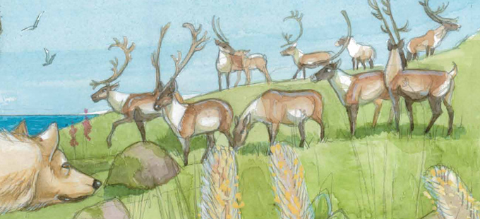 Avati - Inhabitmedia