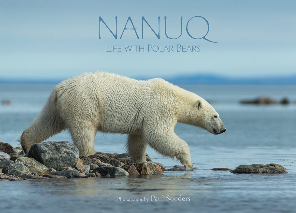 Nanuq: Life with Polar Bears