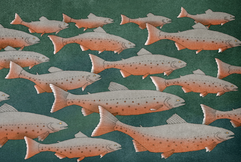 Louise Flaherty at the North Words Writers Festival - Inhabitmedia