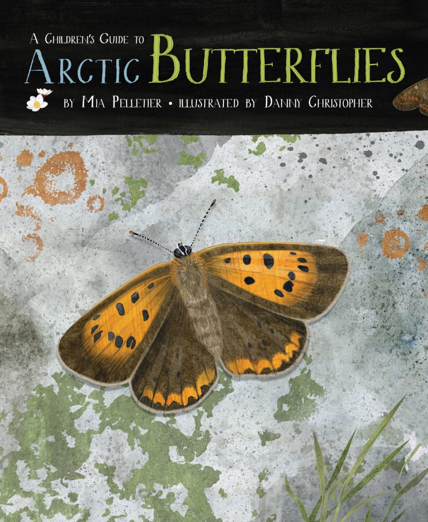 A Children’s Guide to Arctic Butterflies