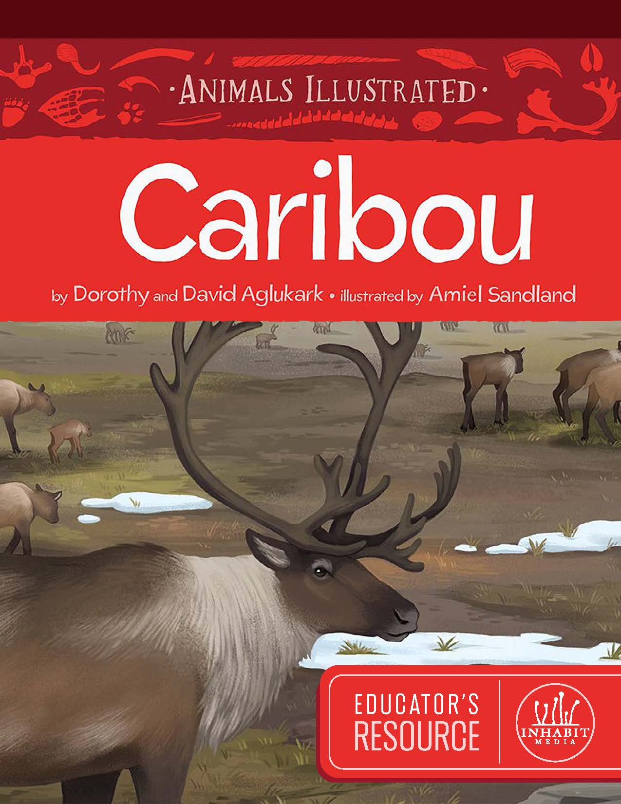 Animals Illustrated: Caribou Educator’s Resource