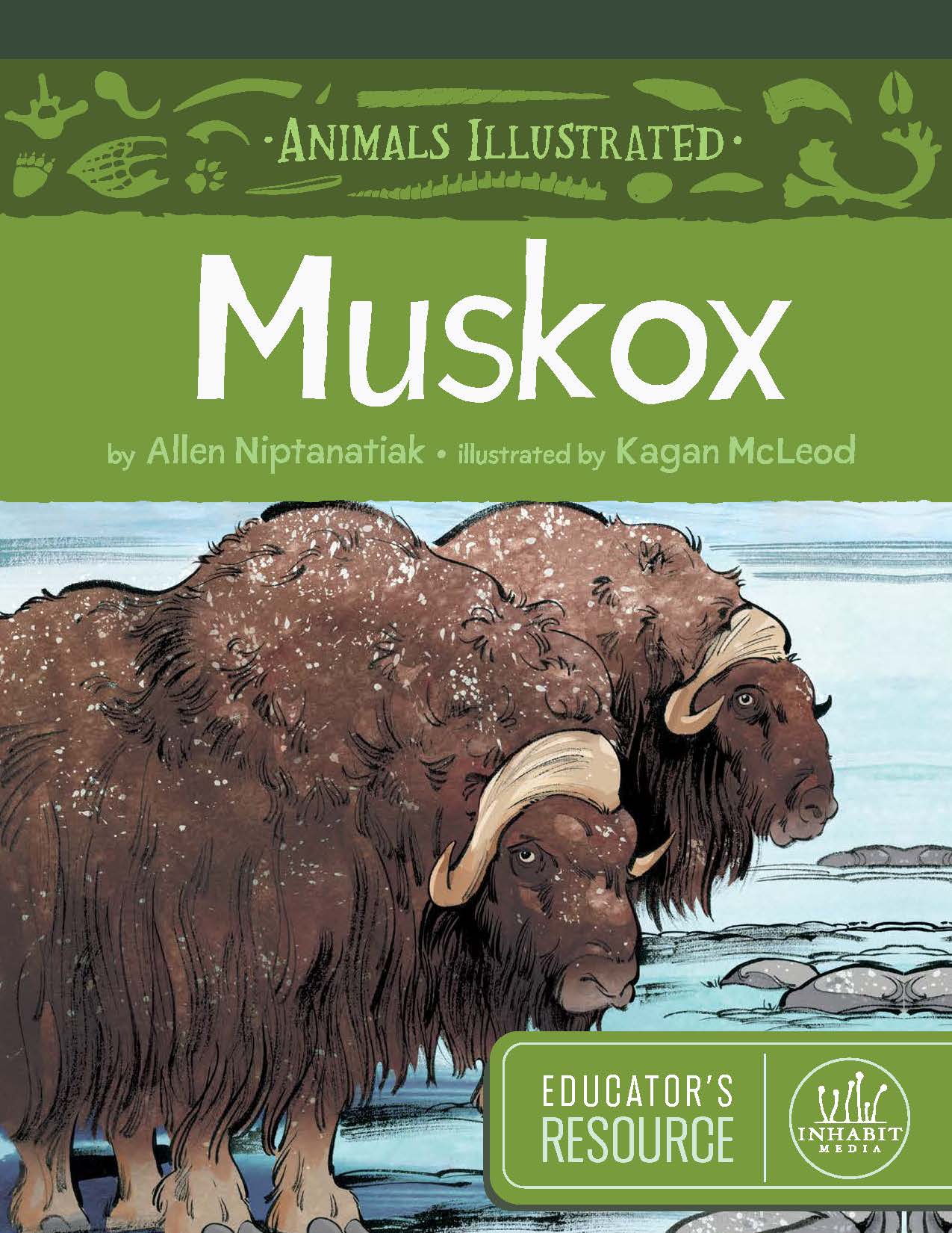Animals Illustrated: Muskox Educator’s Resource