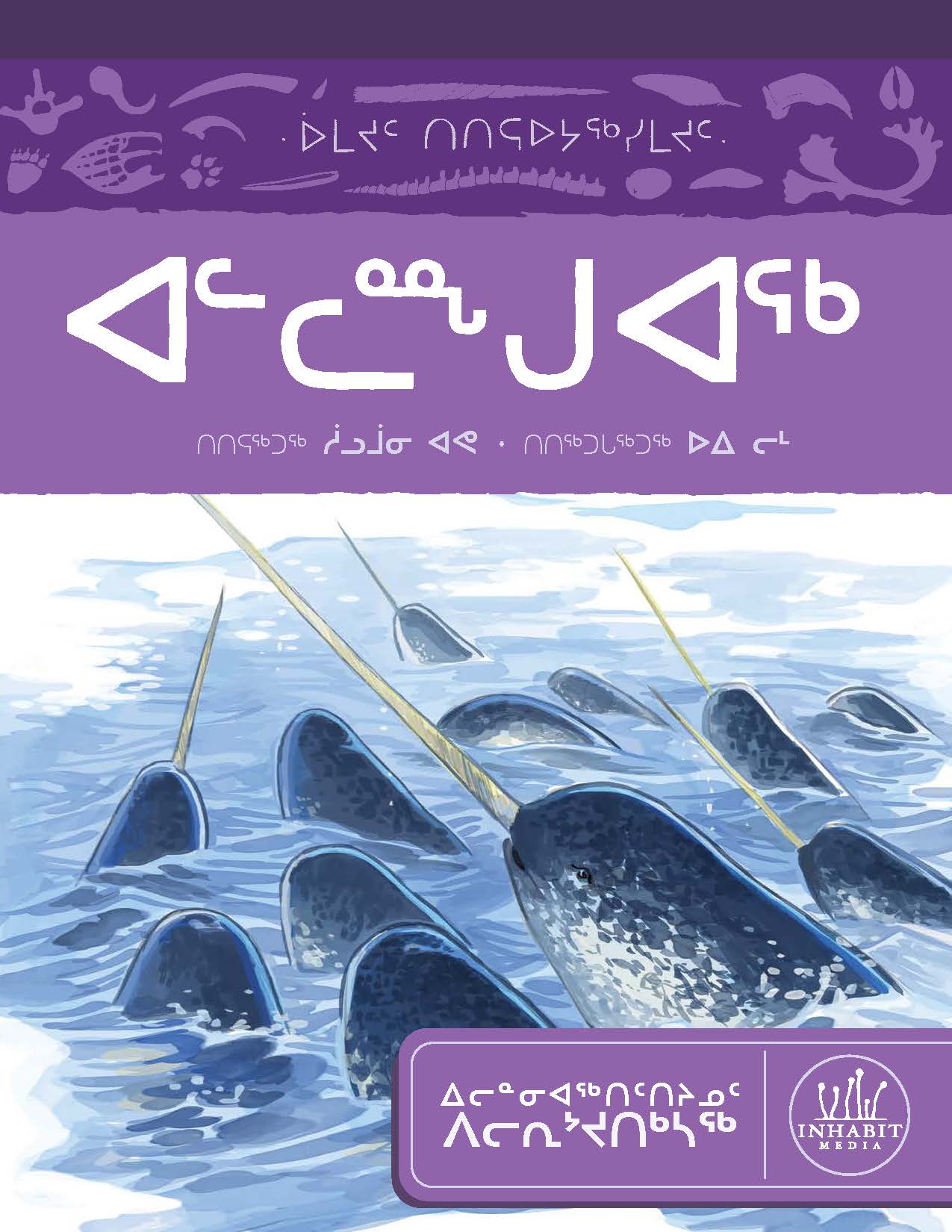 Animals Illustrated: Narwhal Educator’s Resource