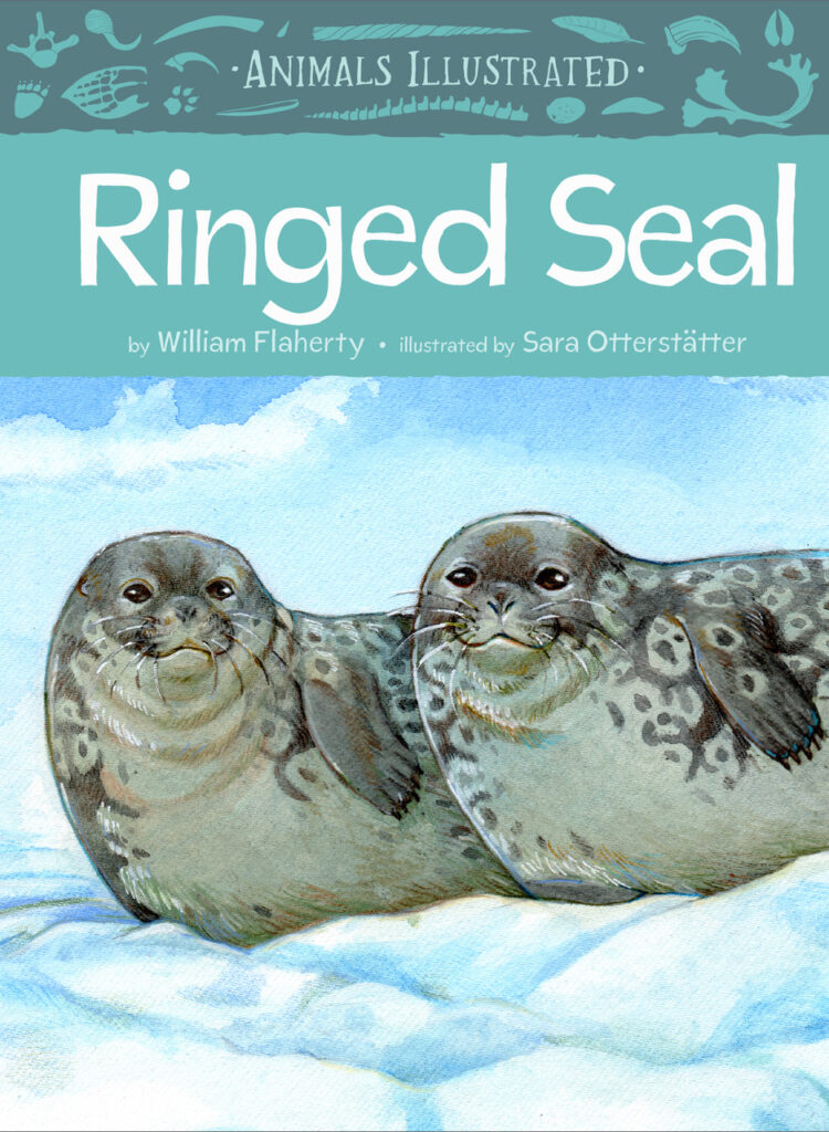 CM Magazine Highly Recommends Animals Illustrated: Ringed Seal