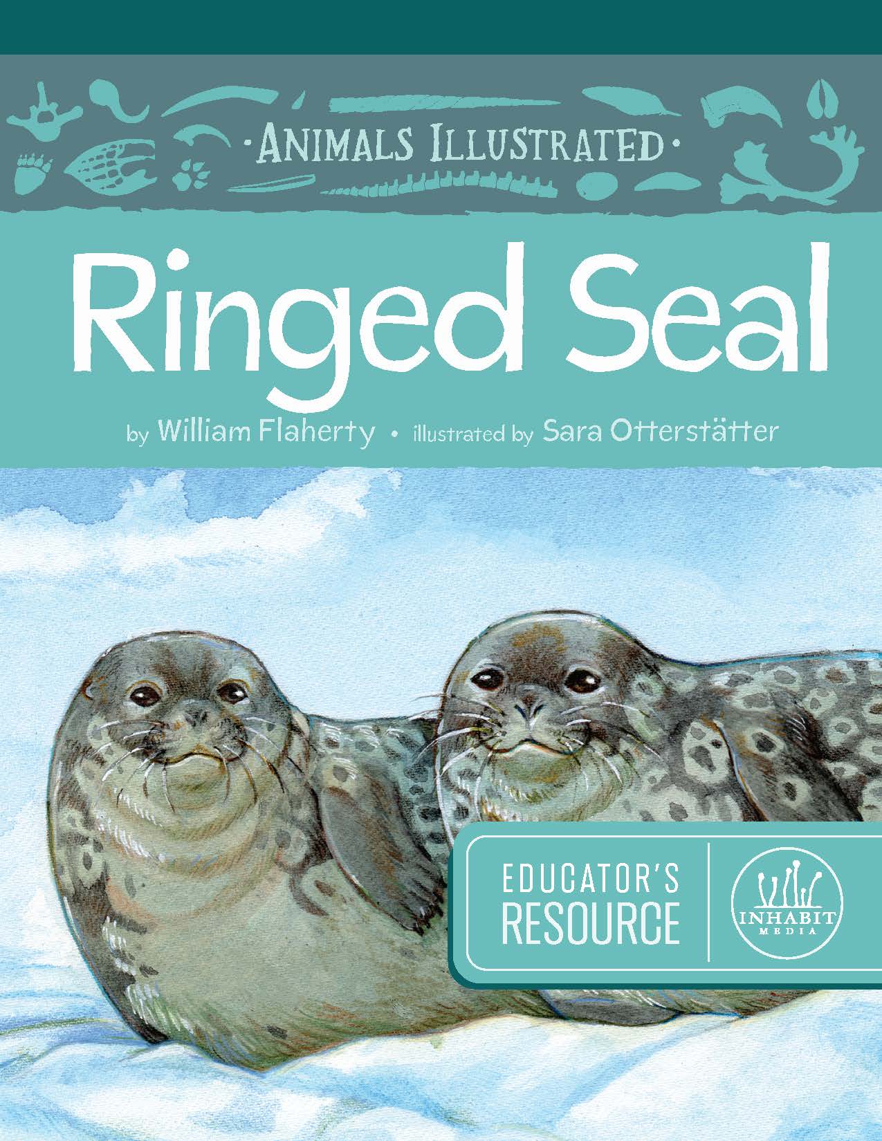 Animals Illustrated: Ringed Seal Educator’s Resource