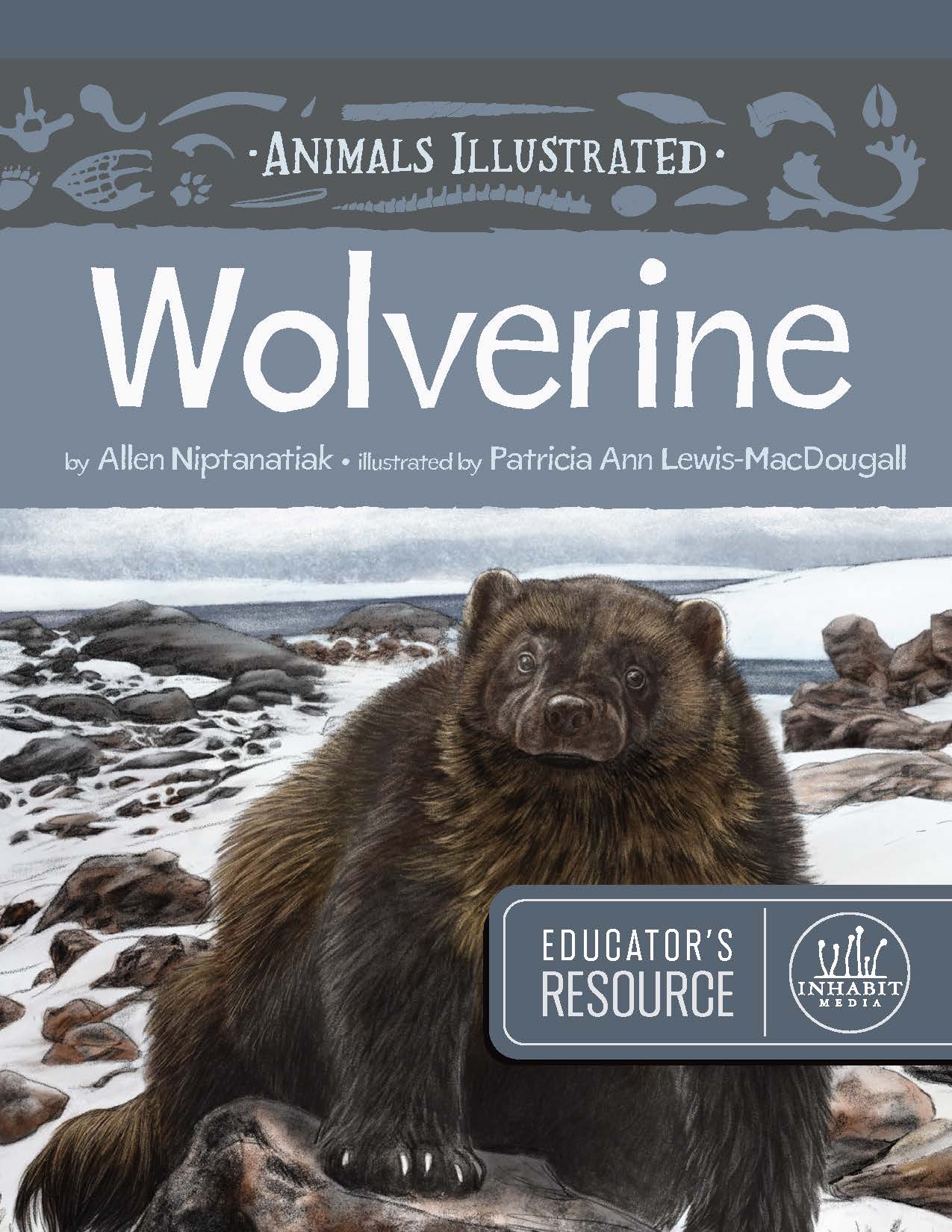 Animals Illustrated: Wolverine Educator’s Resource