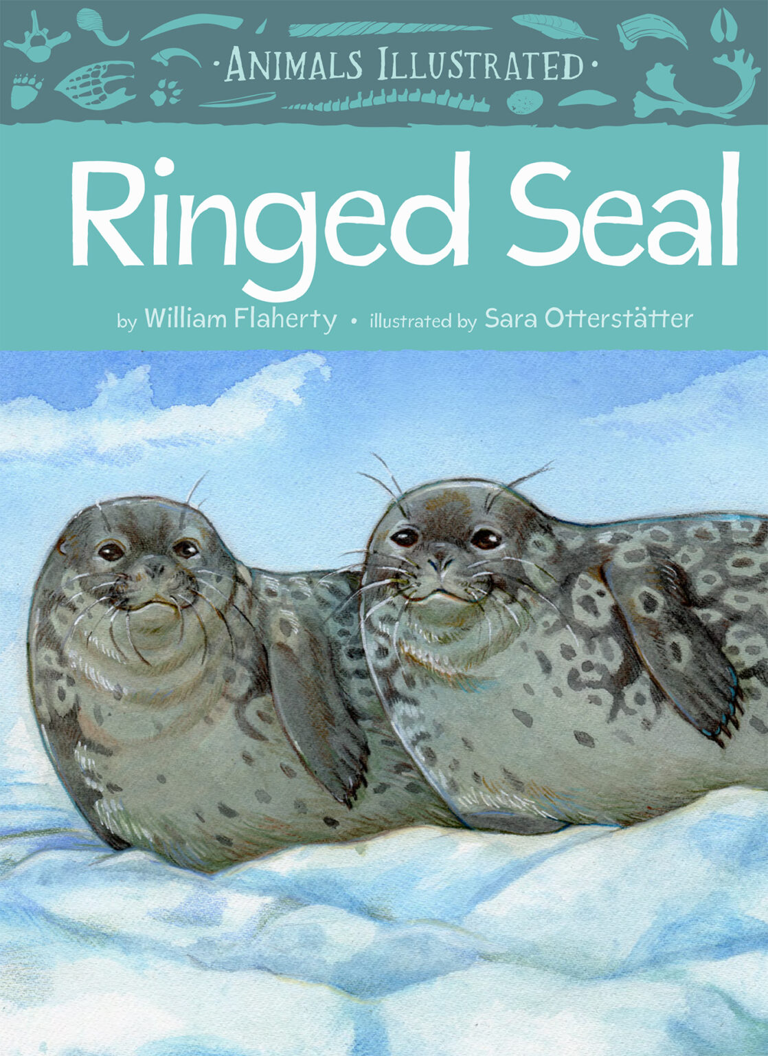 Animals Illustrated: Ringed Seal Reviewed in the Spring 2023 Issue of ...