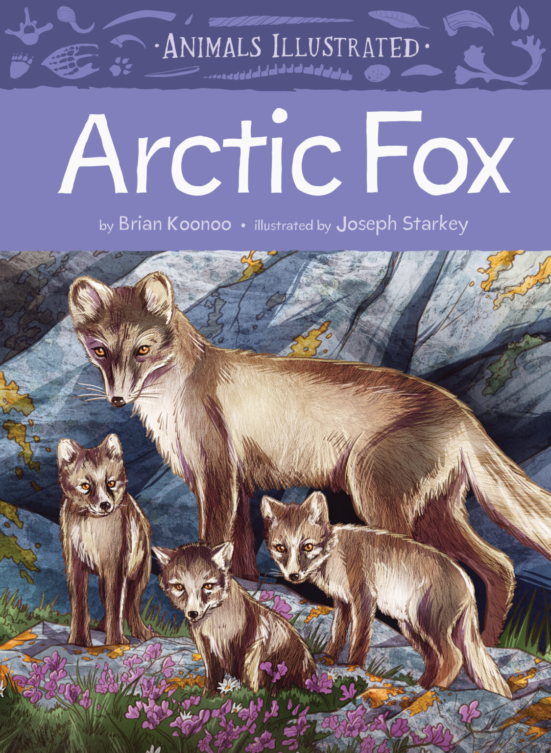 Animals Illustrated: Arctic Fox Reviewed in the Spring 2025 Issue of ...